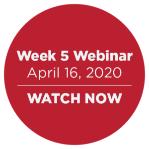 Week 5 Webinar Recap: Art Education and the Coronavirus - The Art of ...