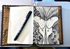 Get Excited to Draw This Summer With These 8 Creative Exercises - The ...