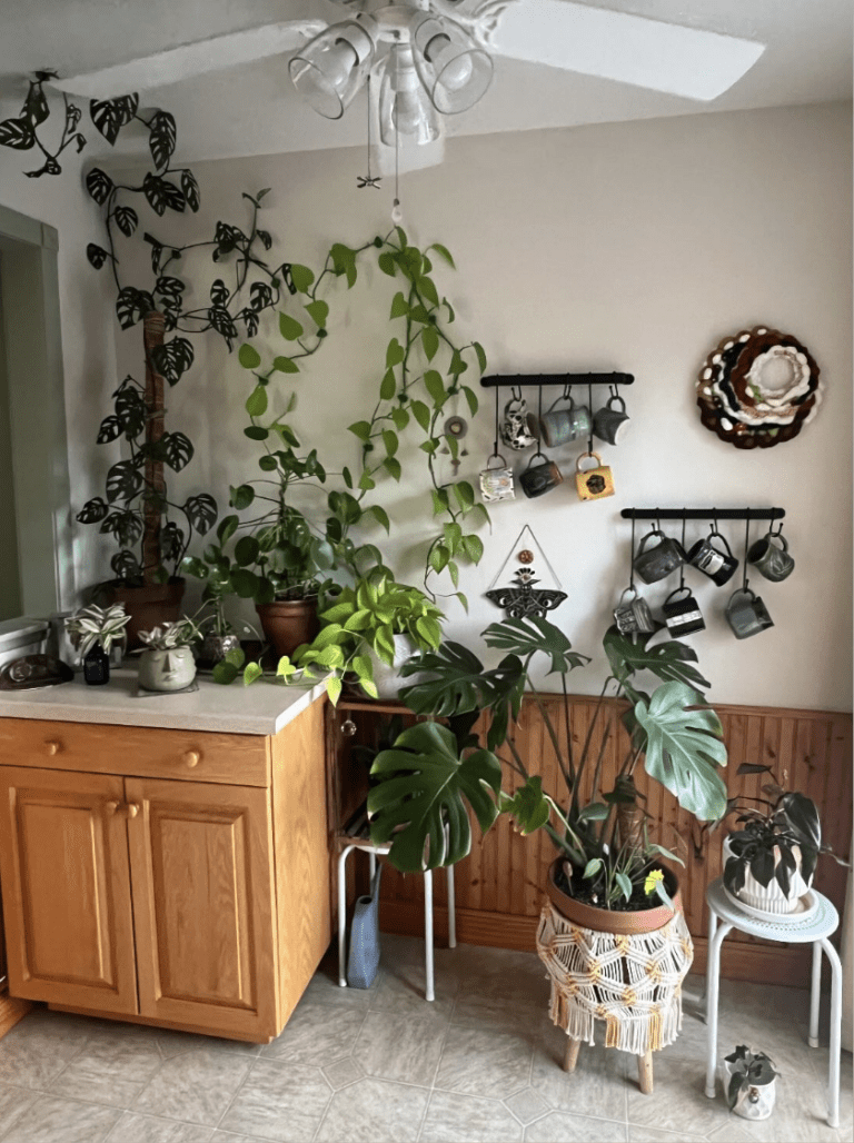 Art Teacher Cribs: Curate Spaces to Boost Your Mood and Mental Health ...