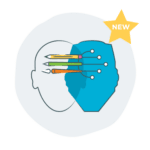 Use the Studio Habits as a Guide for Reflective Self-Assessment - The Art of Education University