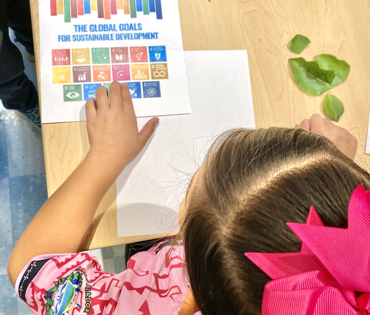 Make an Impact: Helpful Environmental Service Learning Ideas in the Art ...