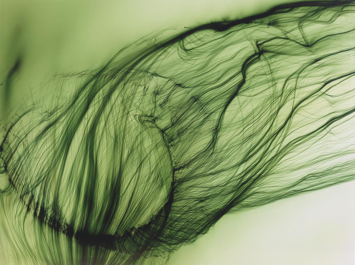 Back to Basics: How to Teach Different Photography Genres in the Art ...