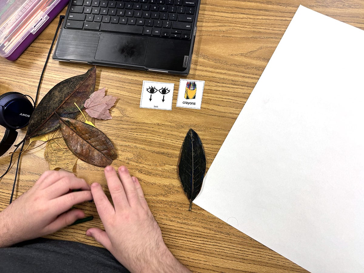 3 Helpful Ways to Differentiate Delivery, Goals, and Pace for Adaptive ...